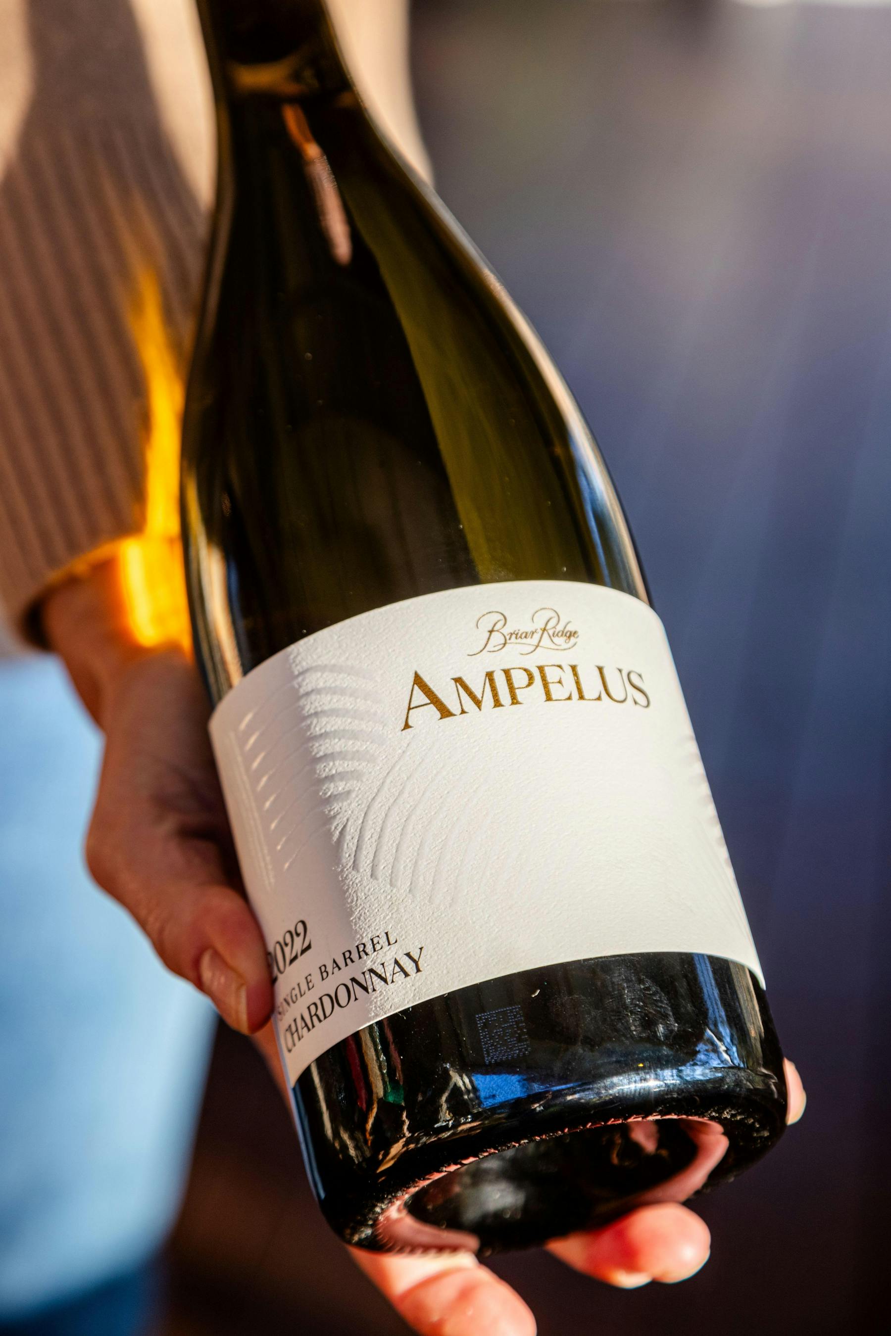 Briar Ridge Vineyard - Mount View, NSW | Tock