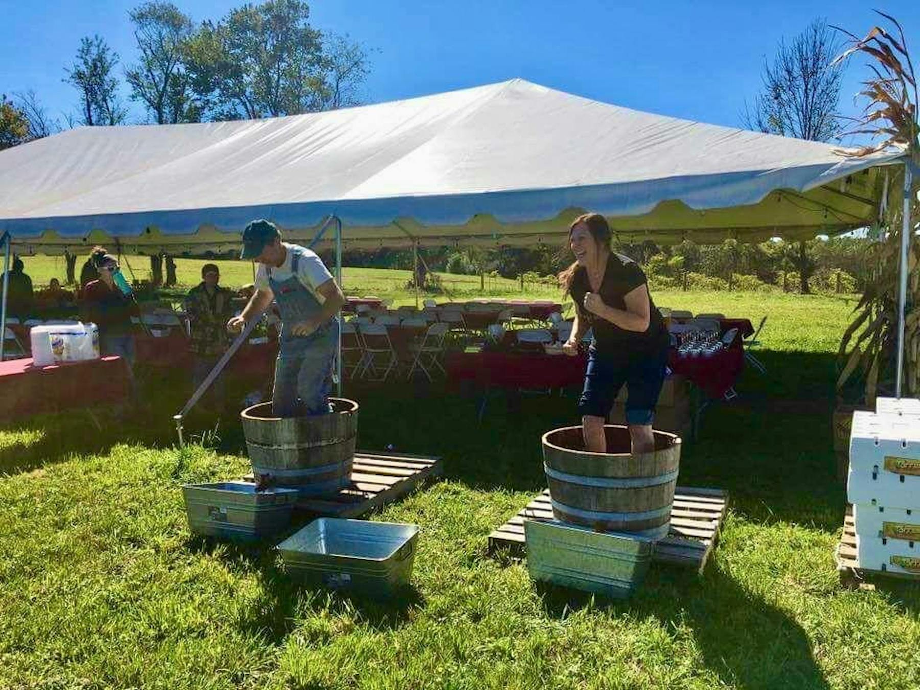 The Bistro at Mountain View Vineyard - Stroudsburg, PA | Tock