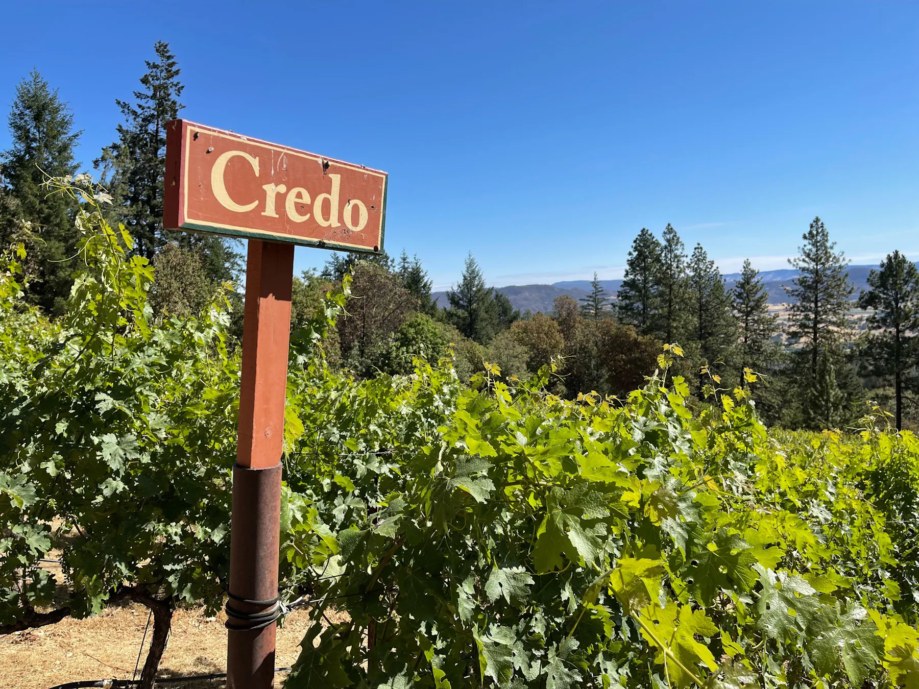 Clif Family Winery - St. Helena, CA | Tock