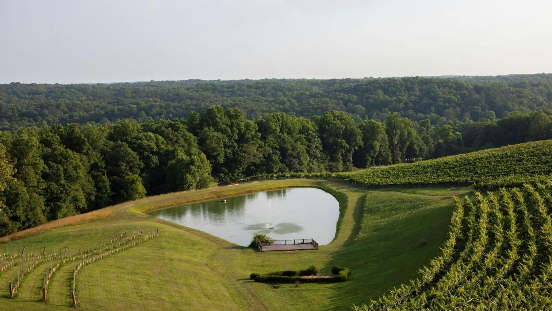 Montaluce Winery & Restaurant - Wine 101 - Dahlonega, GA | Tock