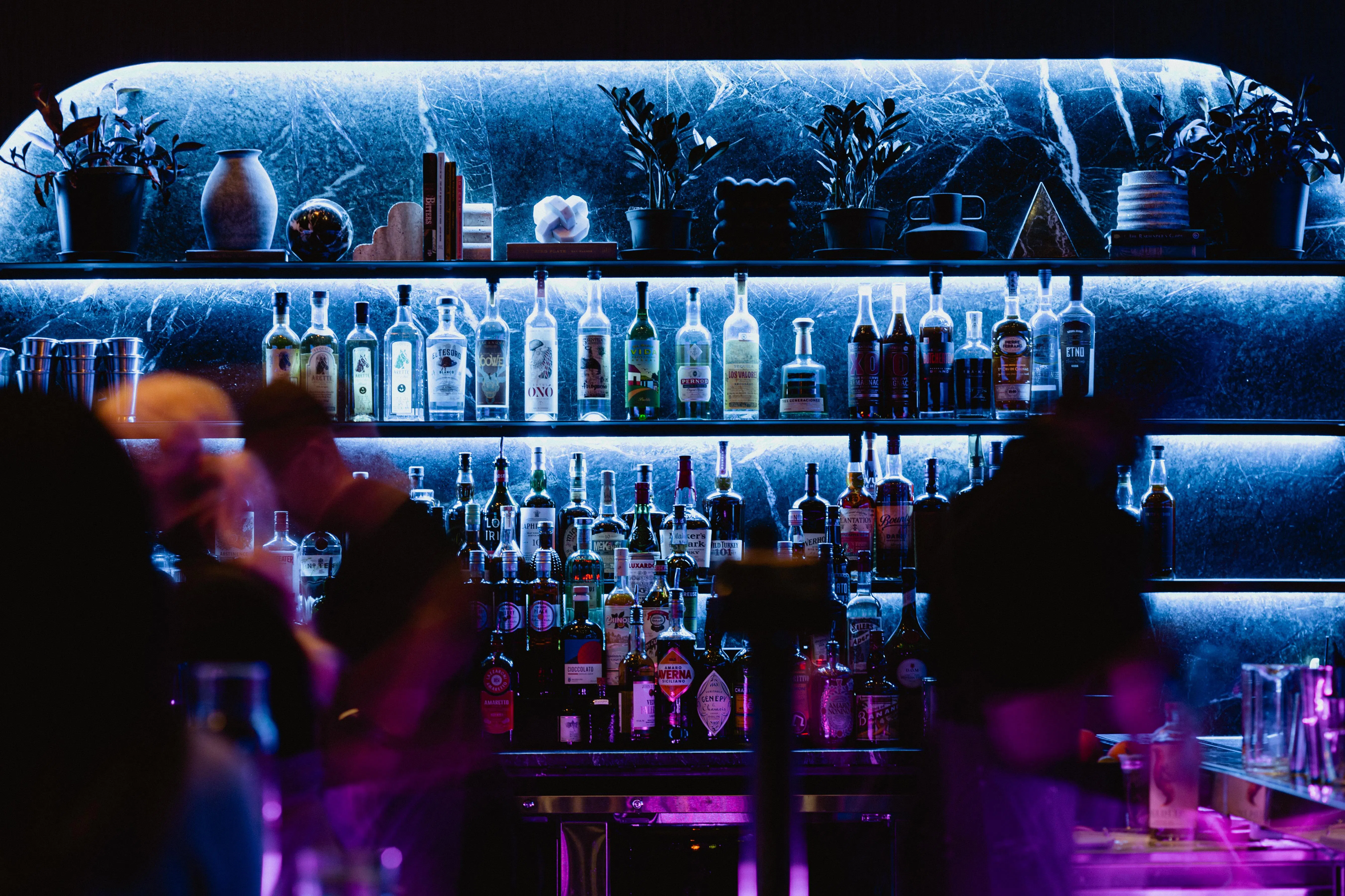 Stargazer - Minneapolis, MN | Tock