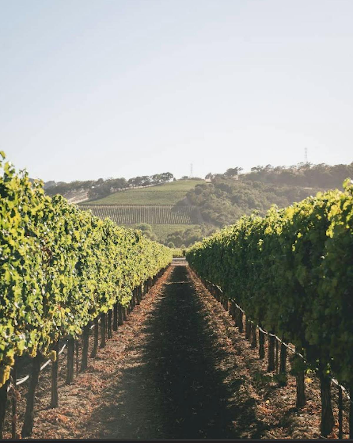 Turks Head Wines - West Chester, PA | Tock