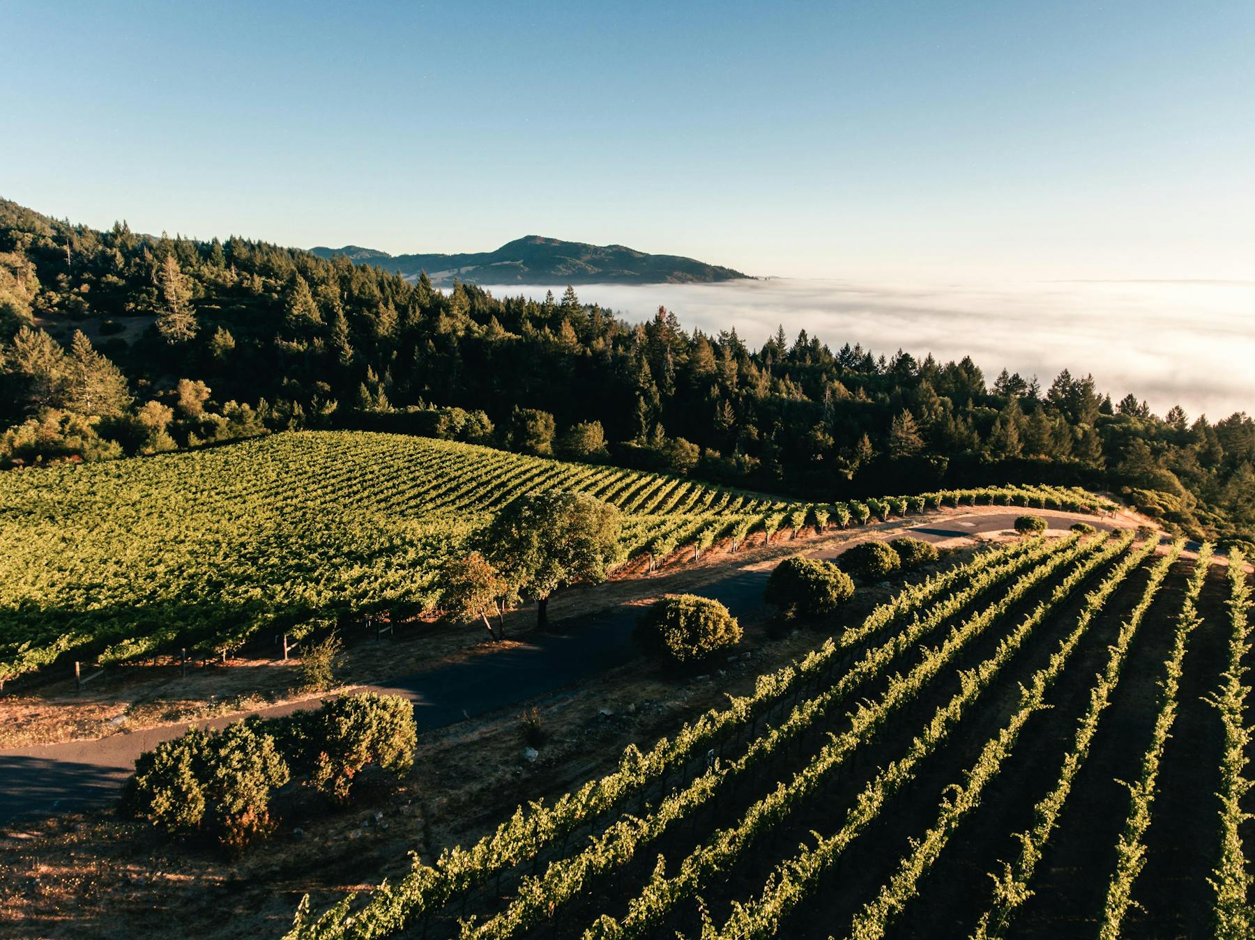 The Spire Collection - US | Tock