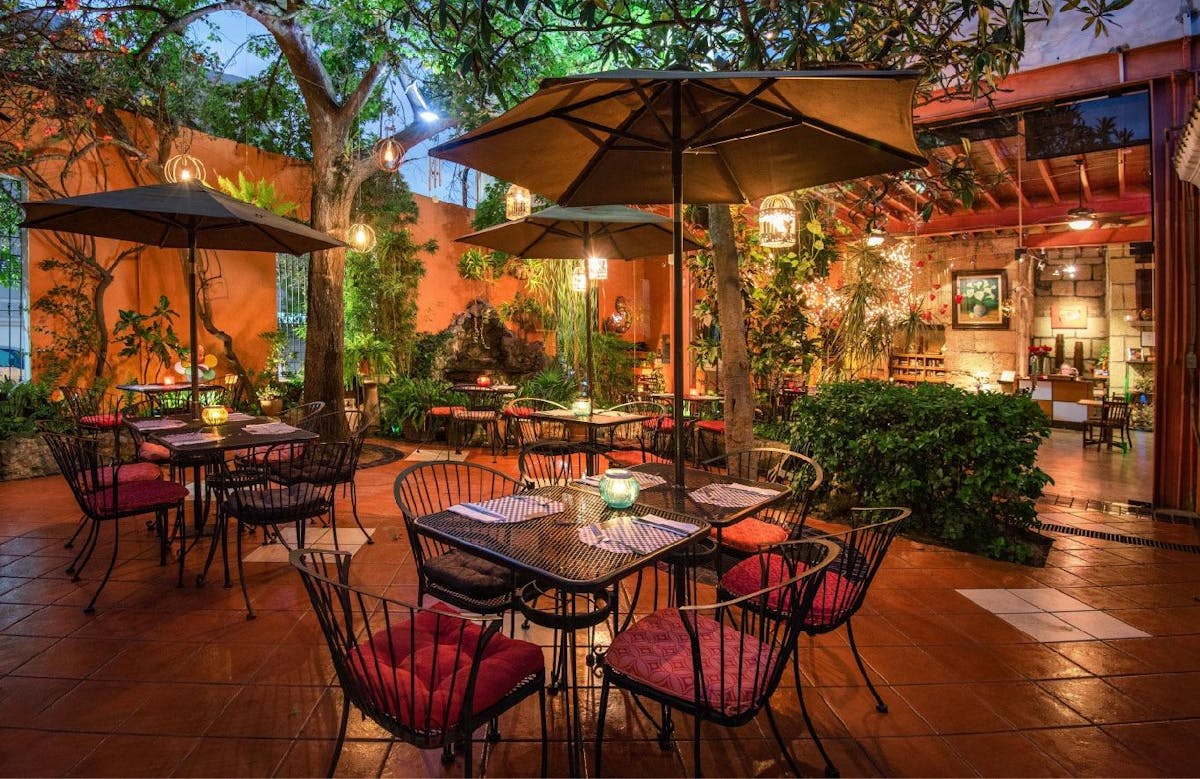 Feelgrow - Monterrey, N.L. | Tock