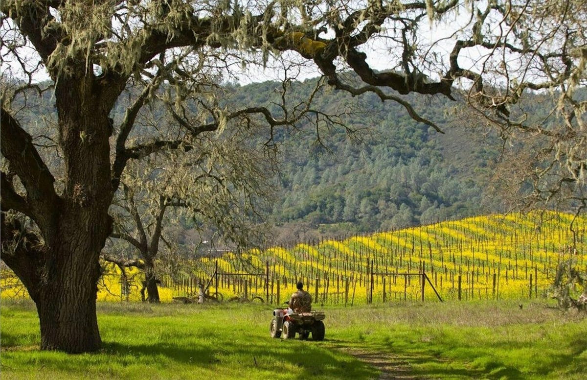 The White Linen - Topeka, KS | Tock