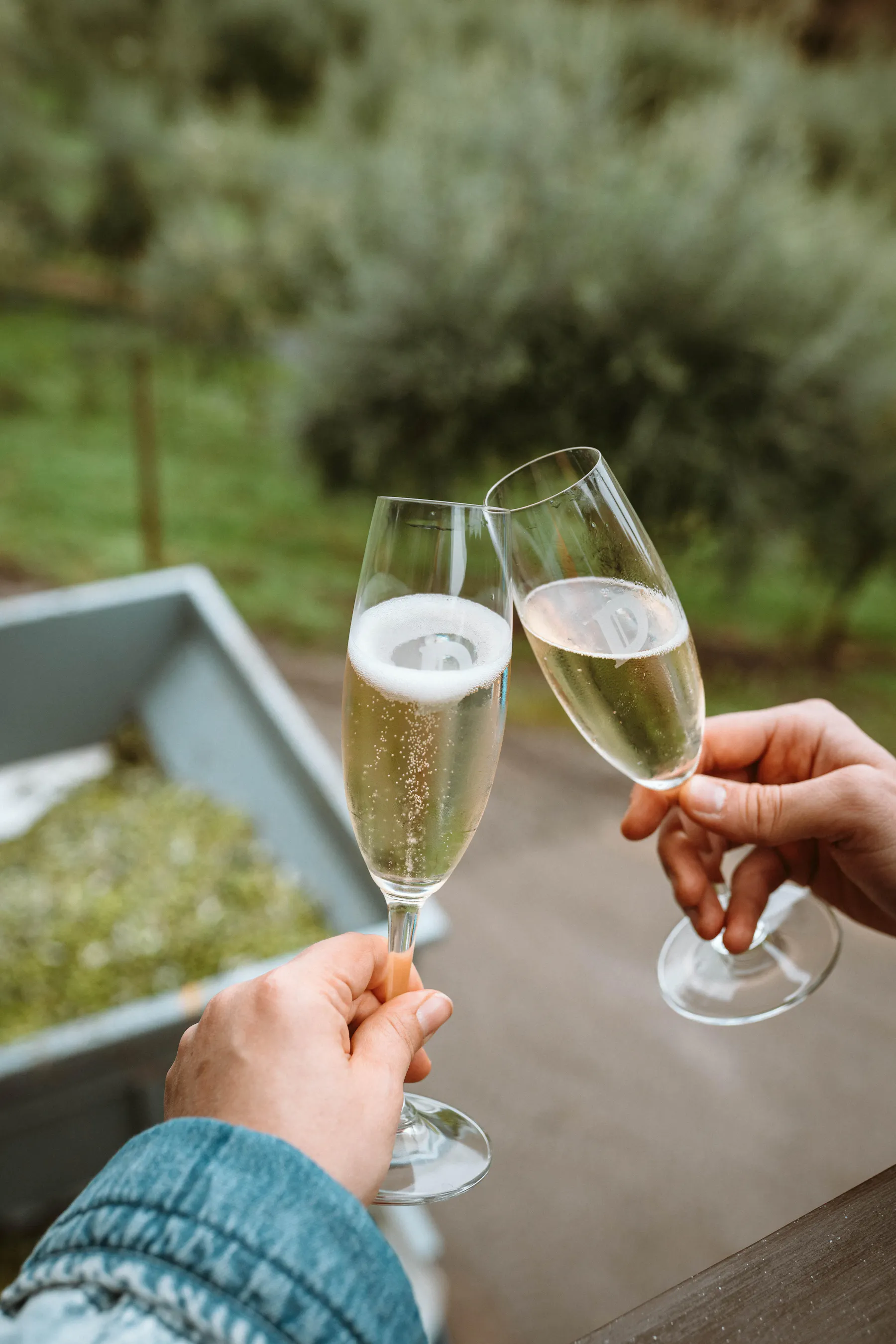 Durant at Red Ridge Farms - Classic Wine Tasting - Dayton, OR | Tock