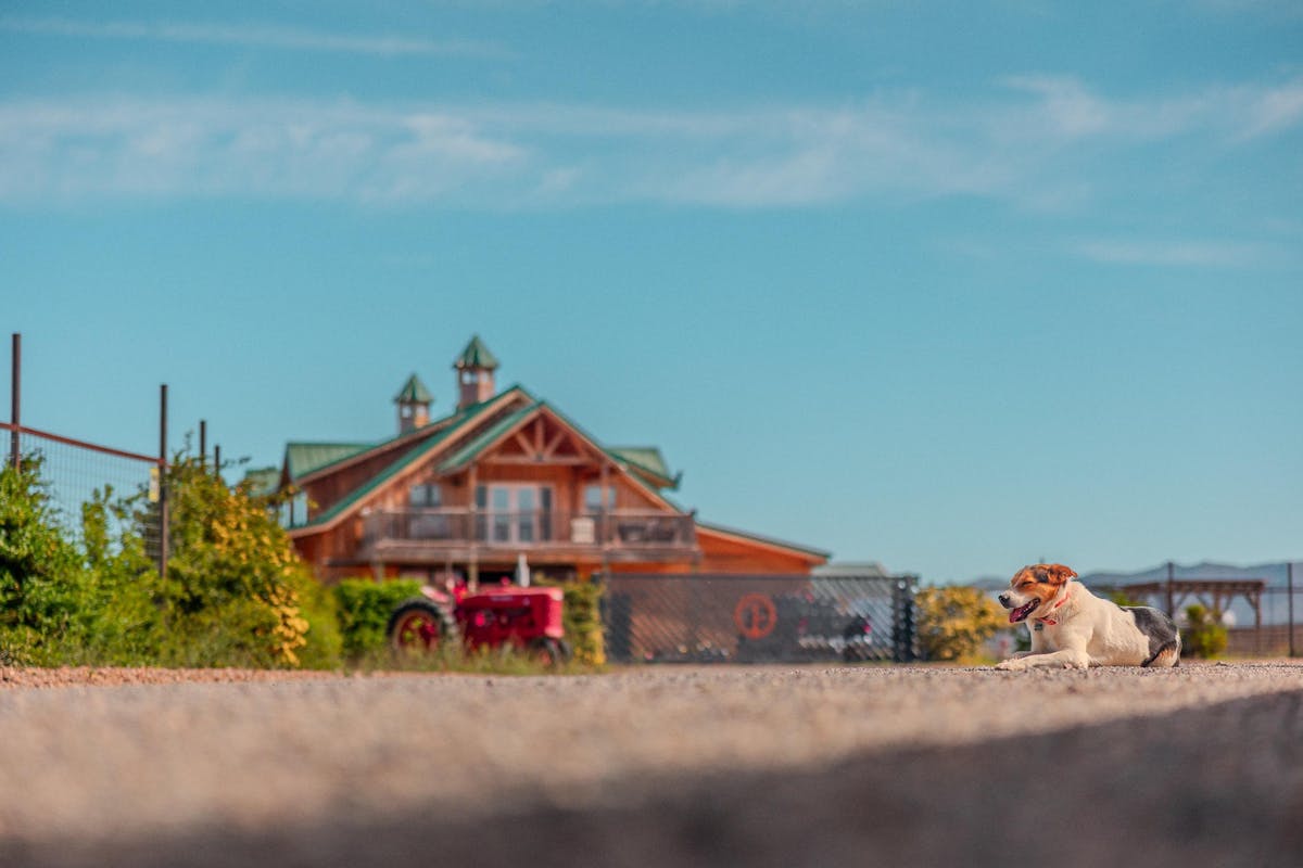 Tirrito Farm - Willcox, AZ | Tock