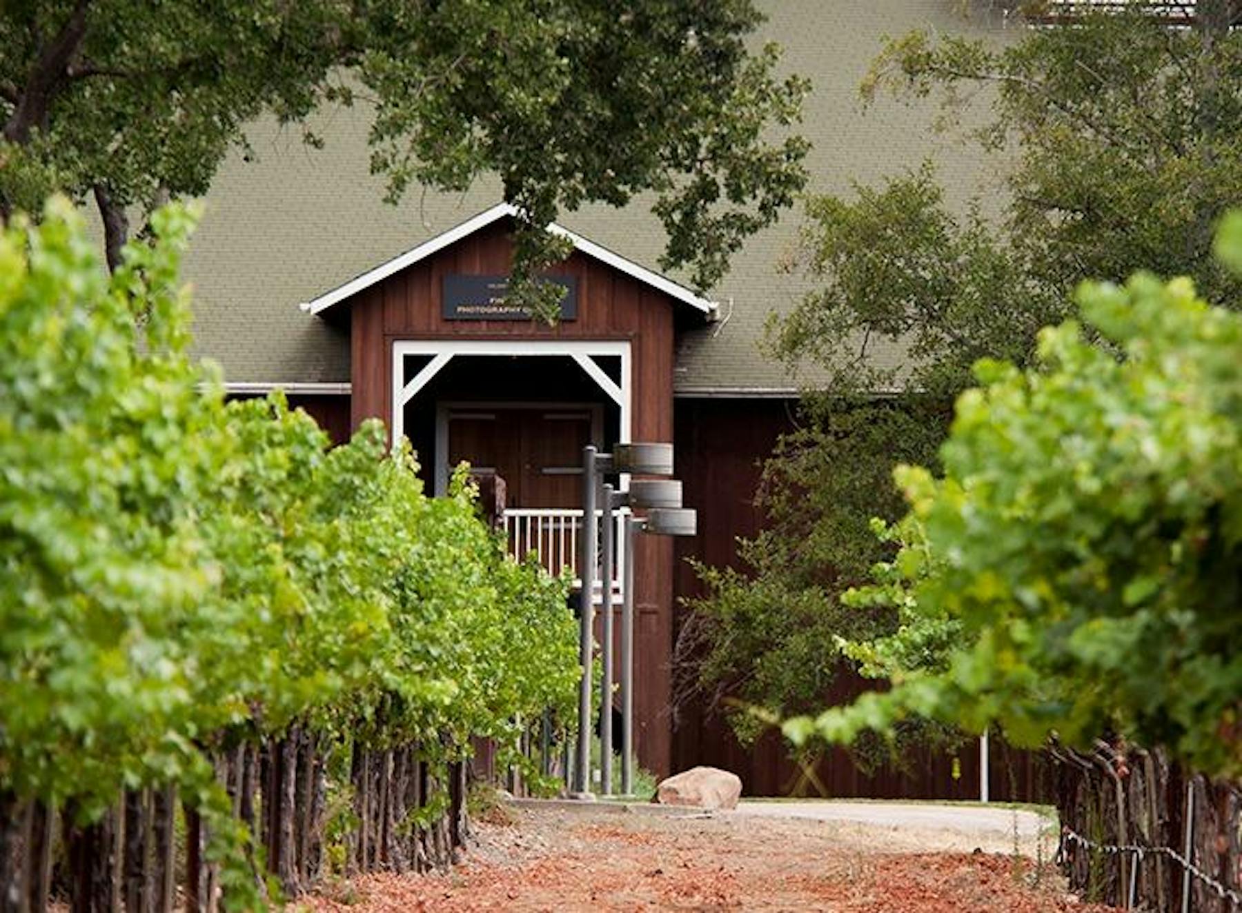 Mumm Napa - Rutherford, CA | Tock