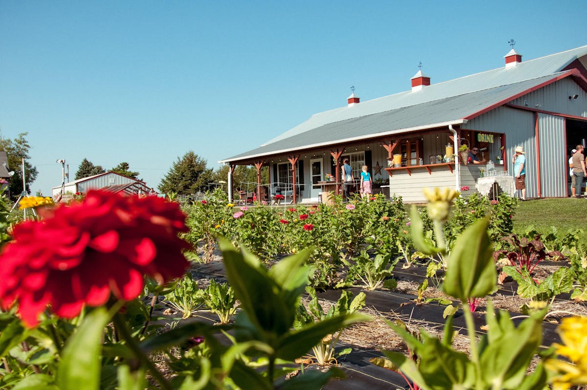 Locavore Farm - Grant Park, IL | Tock