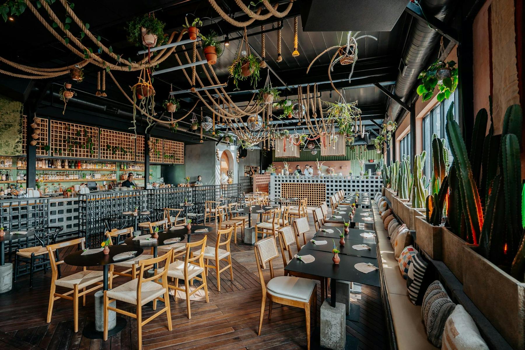 Vera Cocina & بار - Washington, DC | Tock