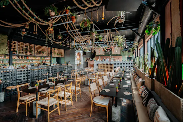 Vera Cocina & بار - Washington, DC | Tock