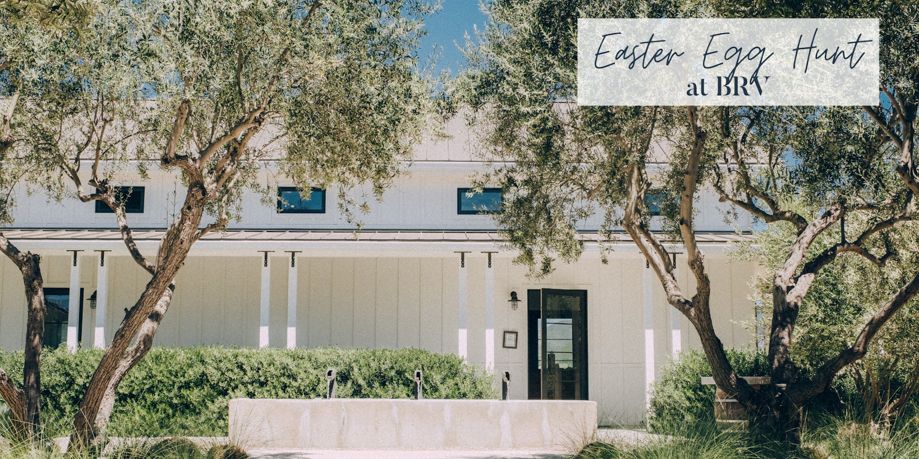 Biddle Ranch Vineyard - San Luis Obispo, CA | Tock