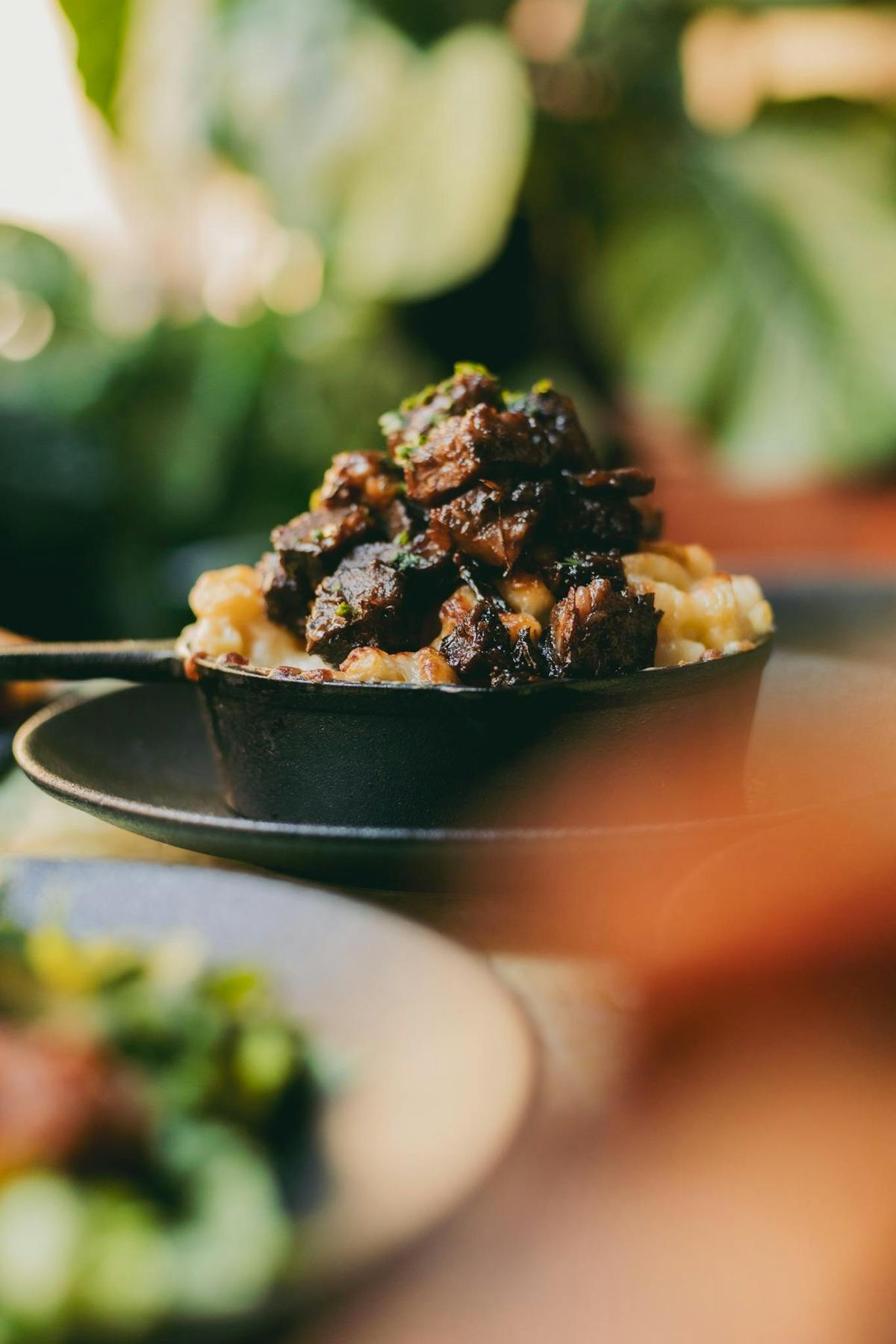 Zaya - Los Angeles, CA | Tock