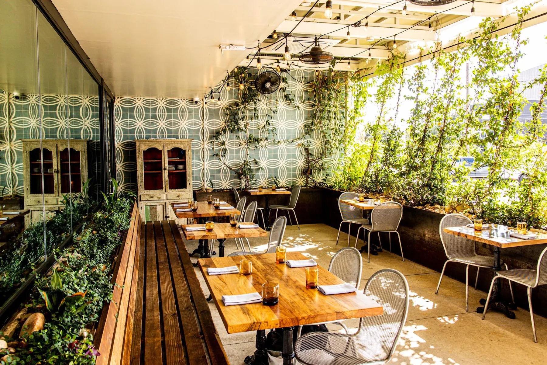 Barley Swine - Tasting Menu - Austin, TX | Tock
