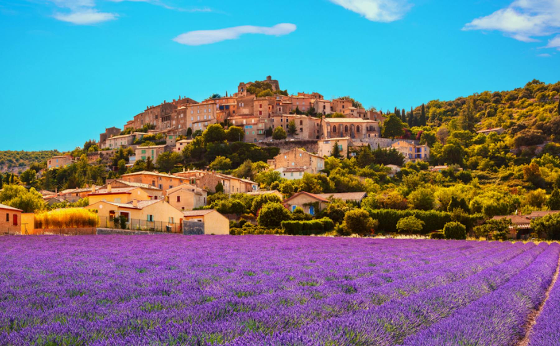 avec west loop - Chicago, IL | Tock