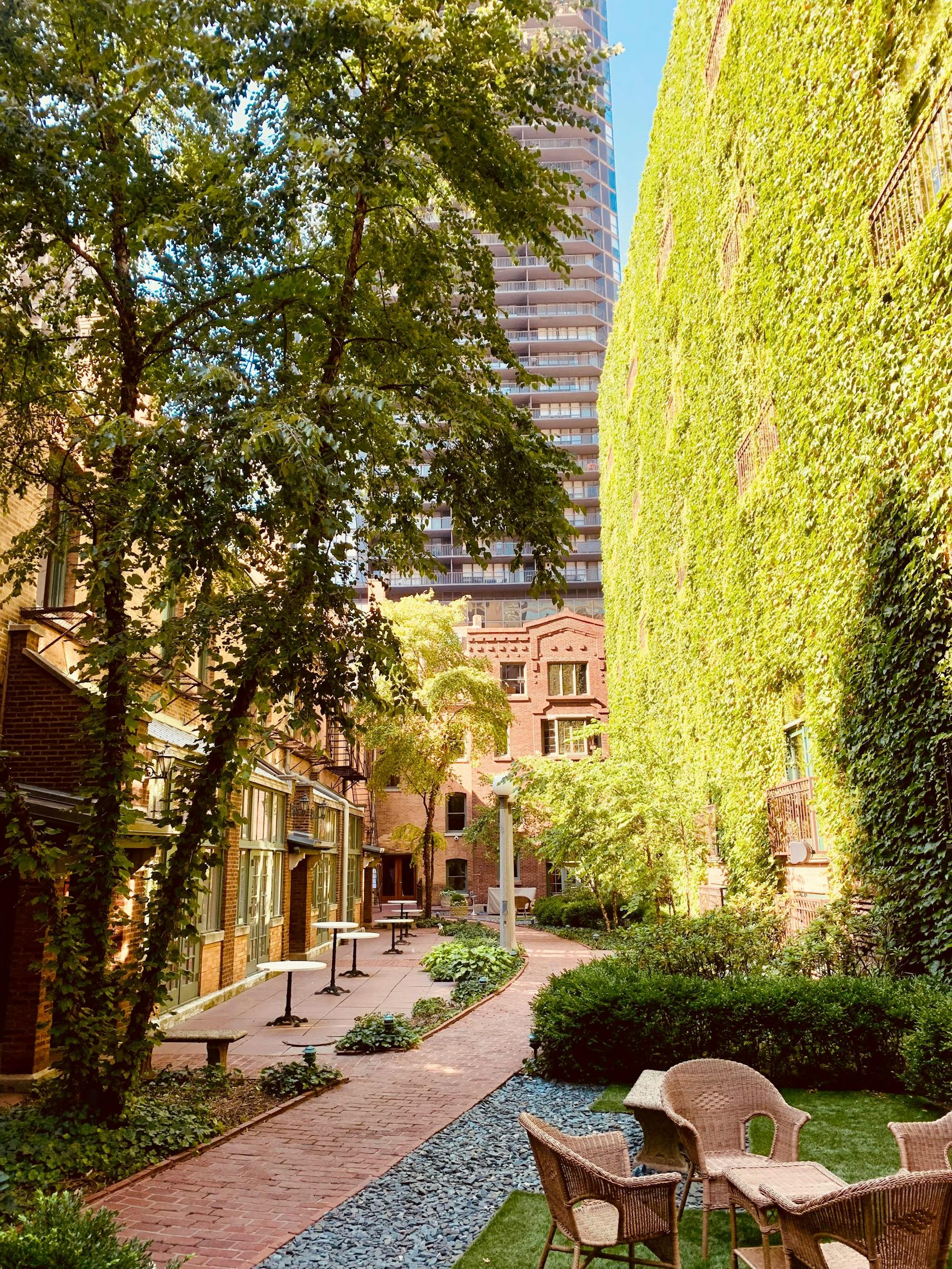 The Ivy Room - Chicago, IL | Tock