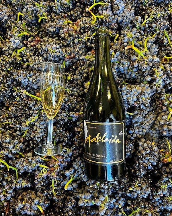 Adelaida Vineyards and Winery - Paso Robles, CA | Tock