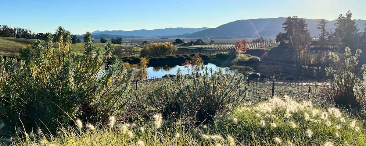 Keller Estate - Petaluma, CA | Tock