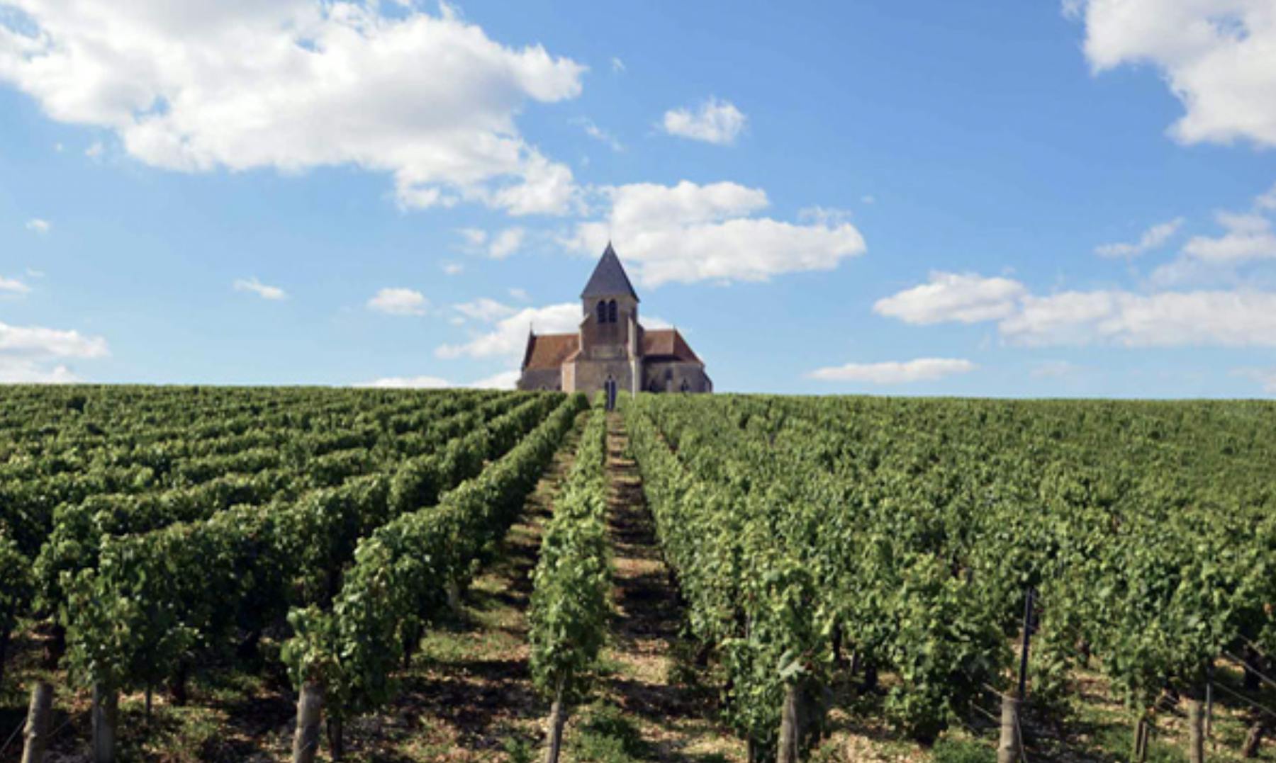 Volo Restaurant Wine Bar - Chicago, IL | Tock