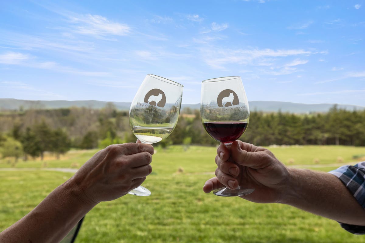 Wolf Gap Vineyard & Winery - Edinburg, VA | Tock