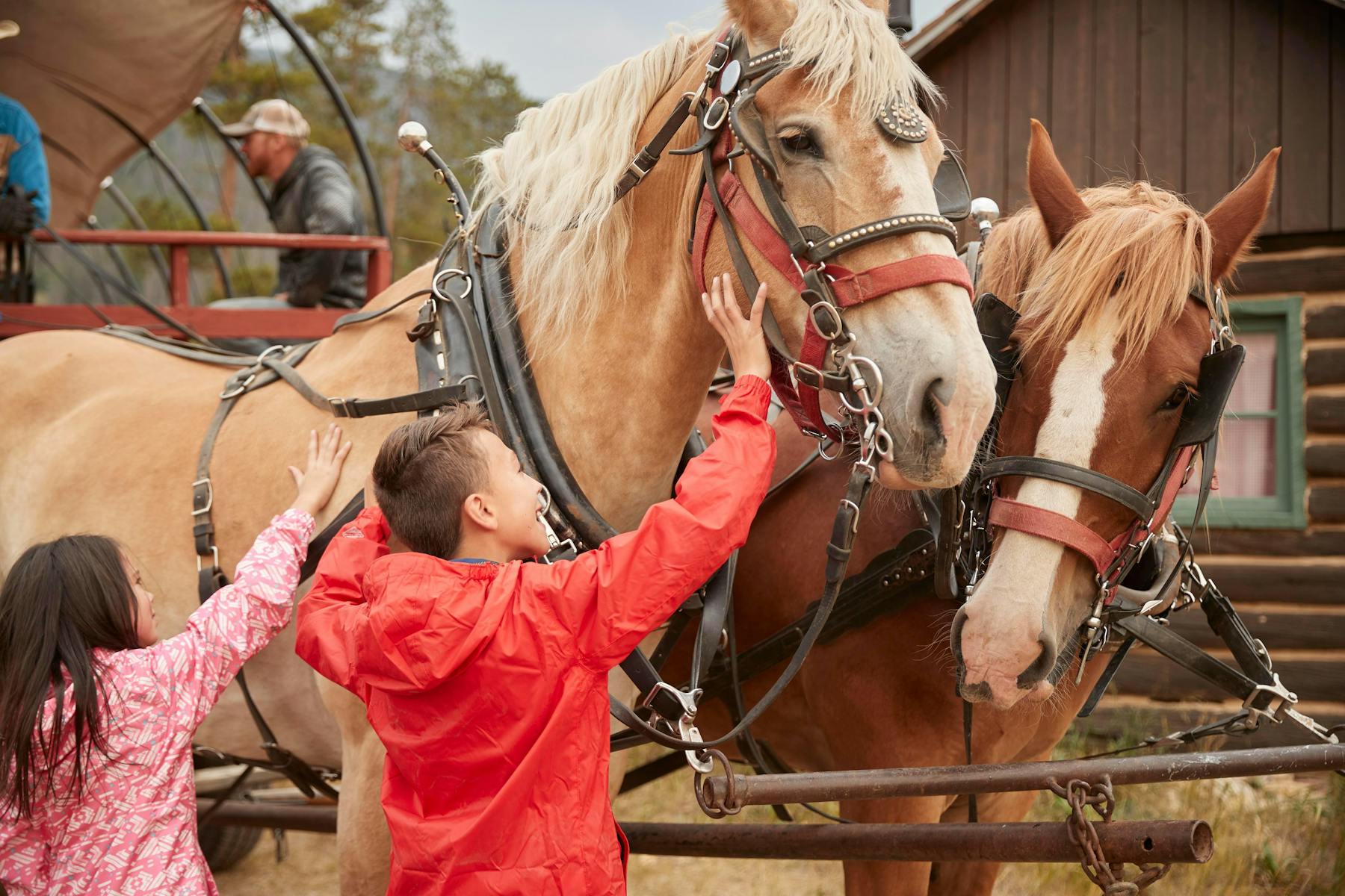 Keystone Stables Wagon Rides - Keystone, CO | Tock