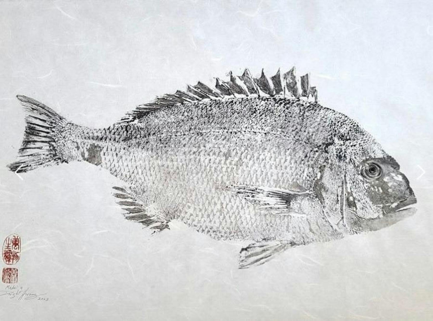 Kōsen - Tampa, FL | Tock