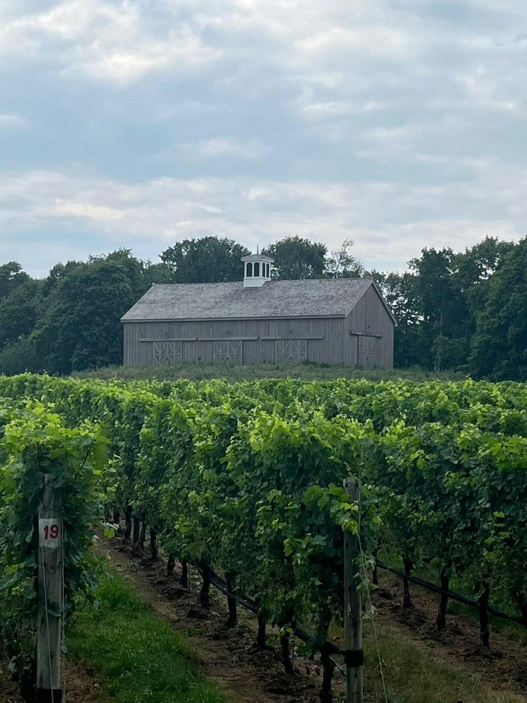 McCall Wines - Cutchogue, NY | Tock