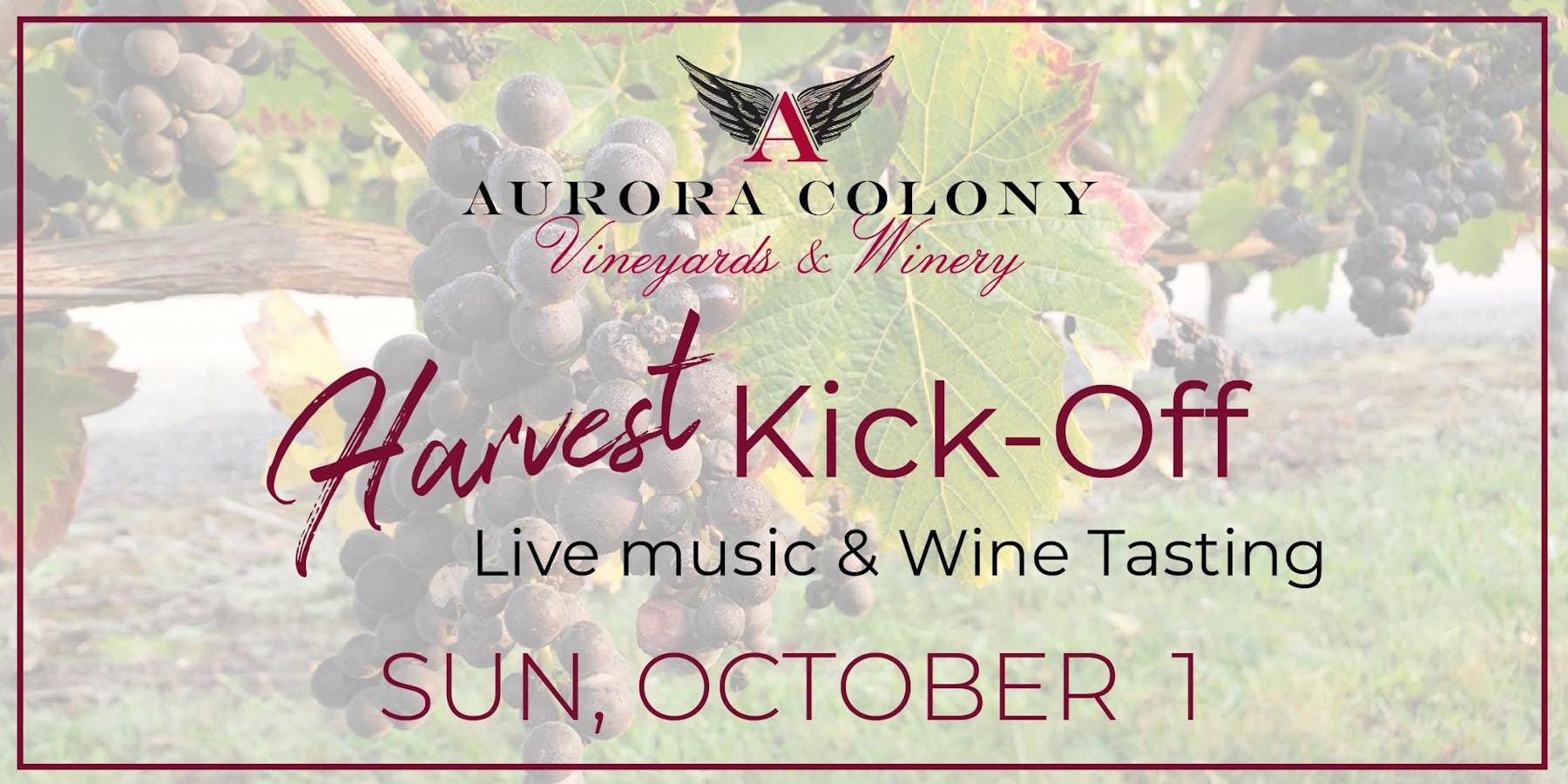 Aurora Colony Vineyards and Winery - Aurora, OR | Tock