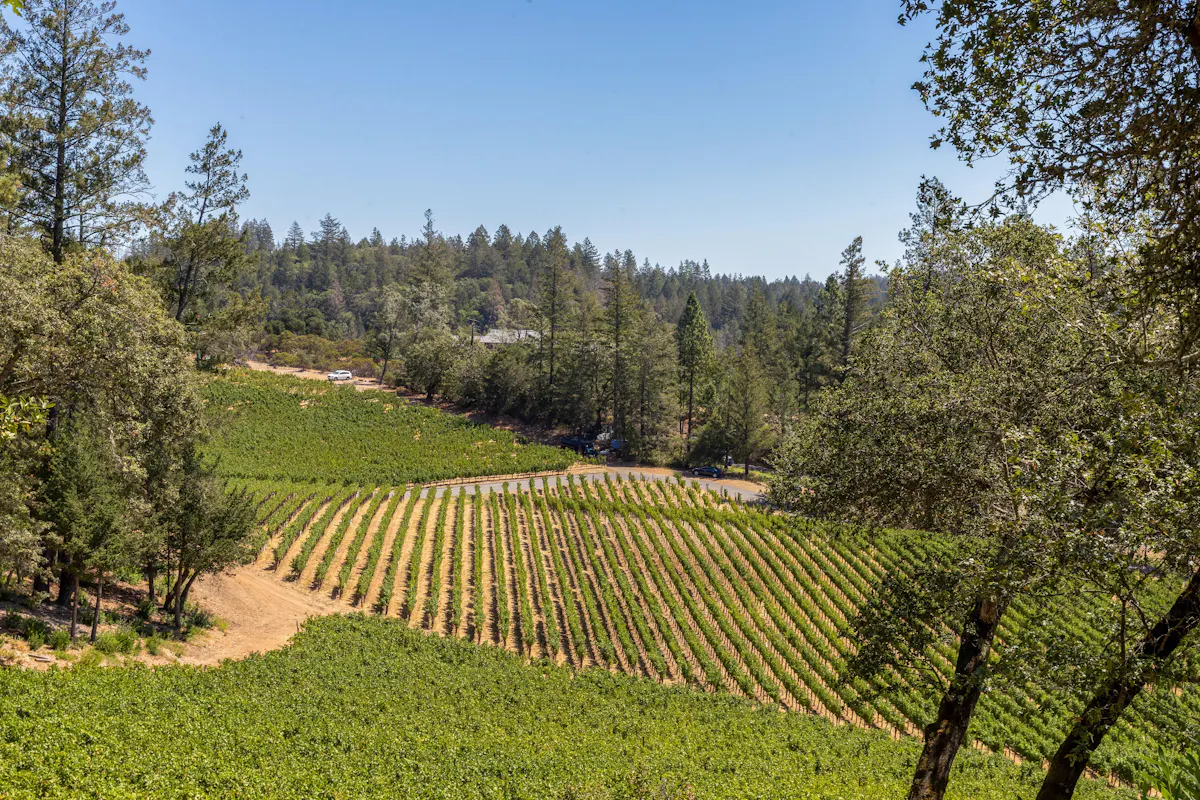 CADE Estate Winery - Angwin, CA | Tock