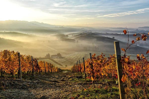 Frasca Food and Wine - Boulder, CO | Tock