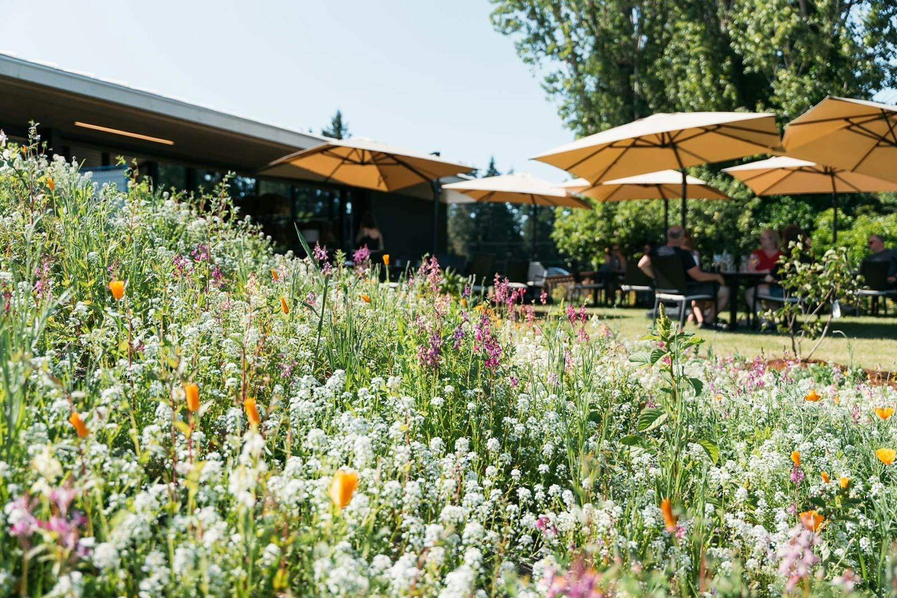 The Tasting Room at Unsworth Vineyards - Mill Bay, BC | Tock