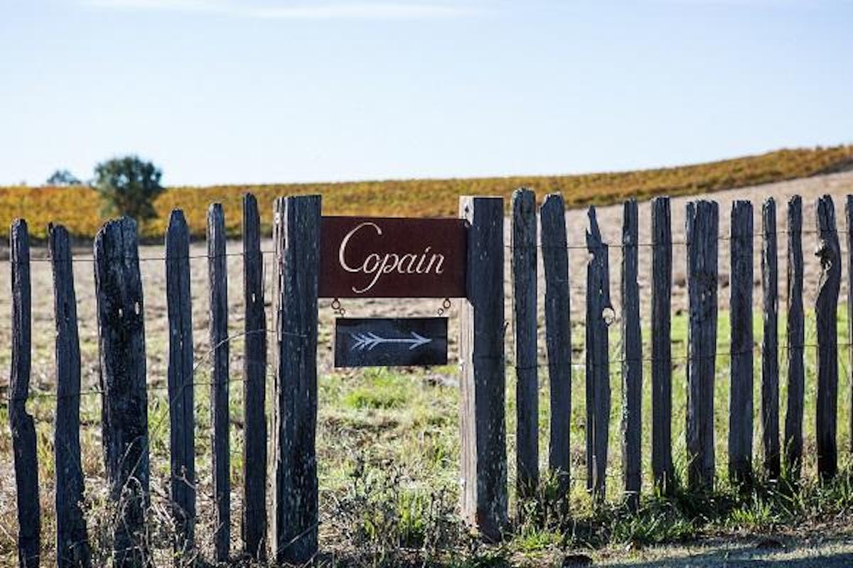 Copain Wines - Healdsburg, CA | Tock
