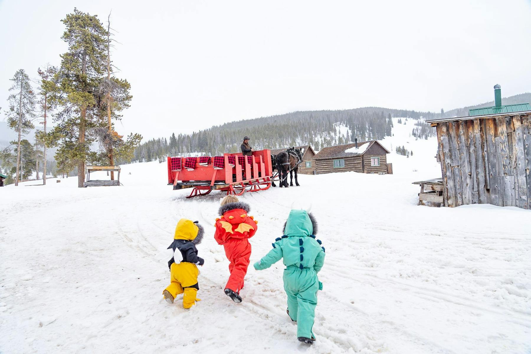 Keystone Stables Sleigh Rides - Keystone, CO | Tock