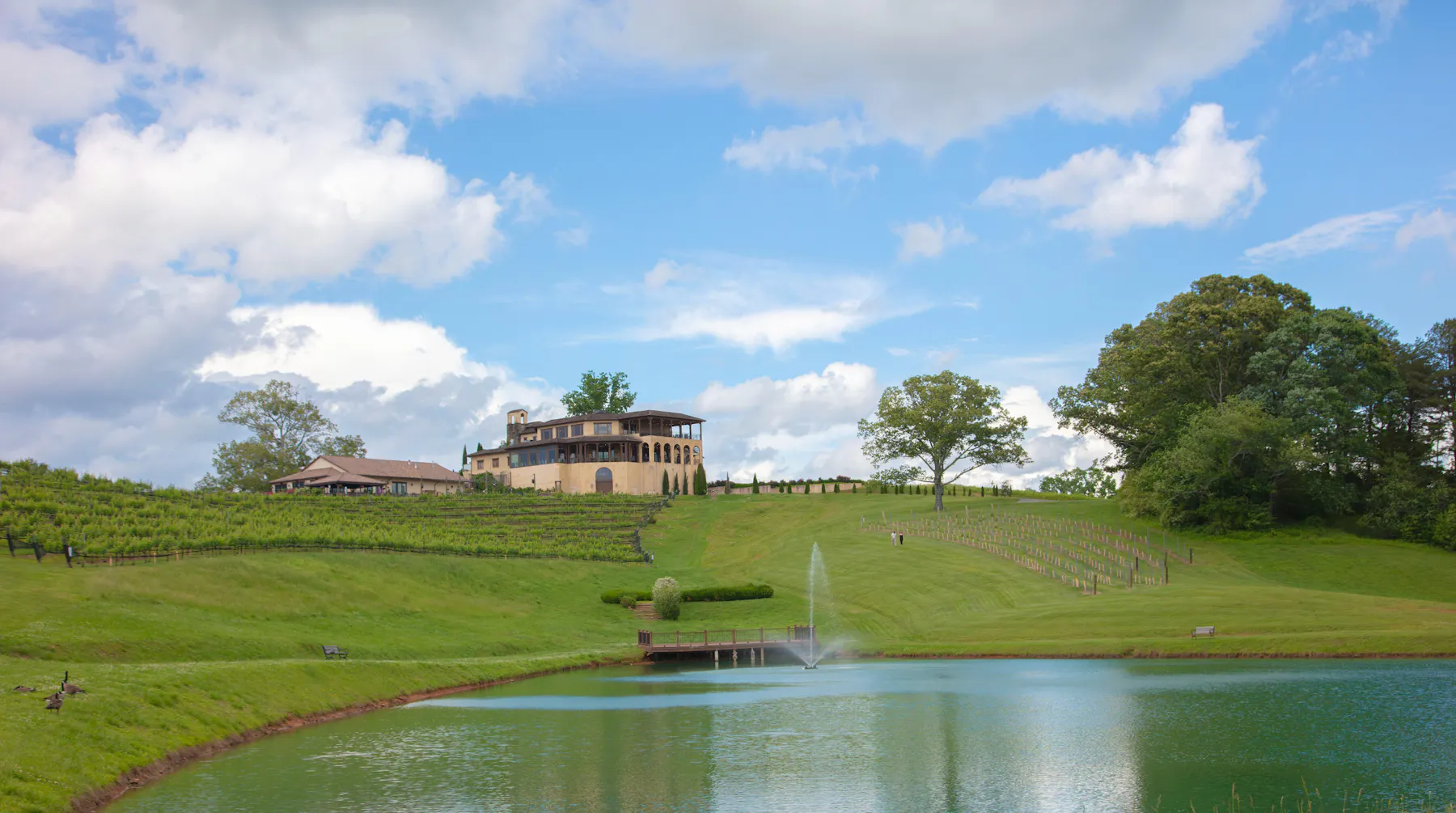 Montaluce Winery & Restaurant - Dahlonega, GA | Tock