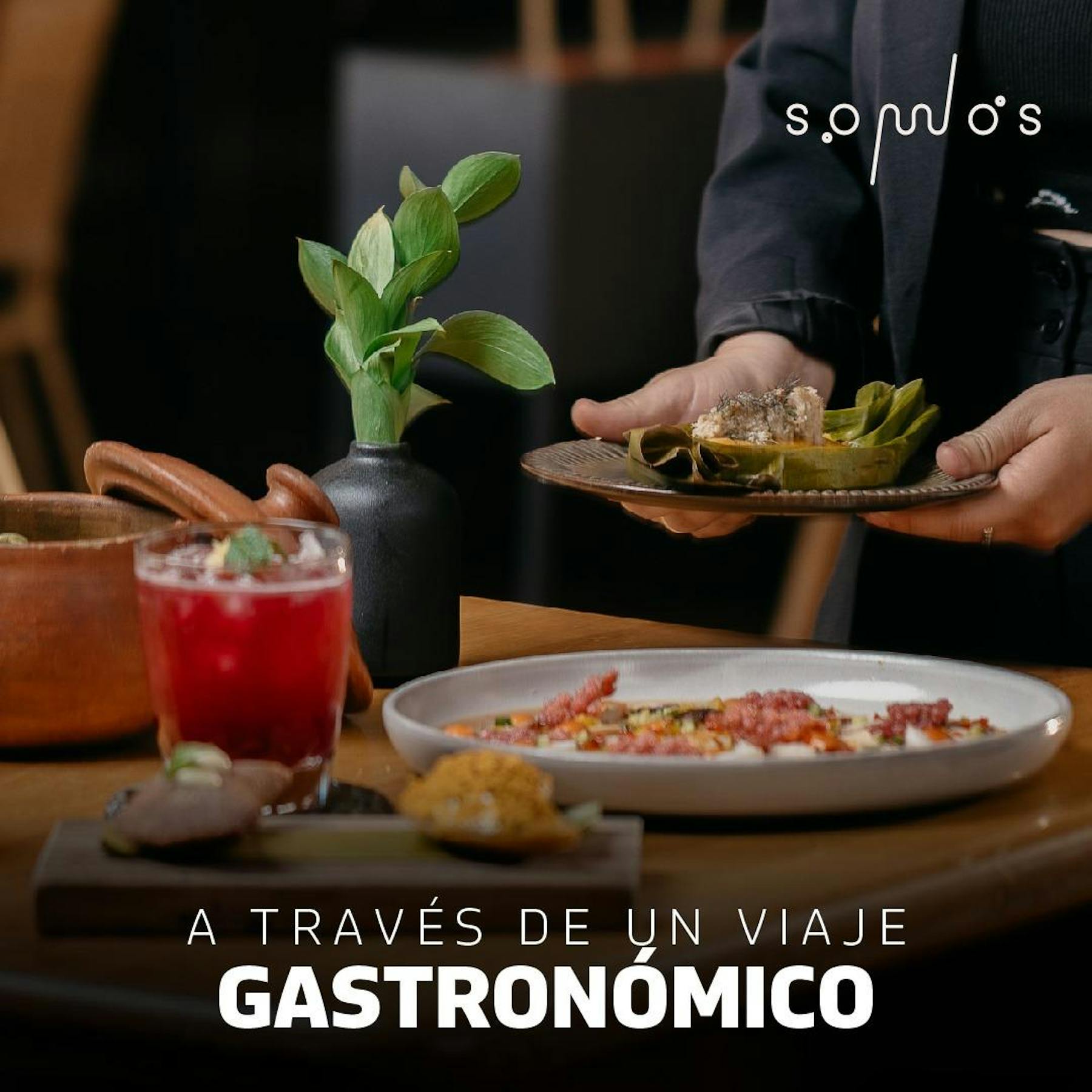 SOMOS - Quito, PICHINCHA | Tock