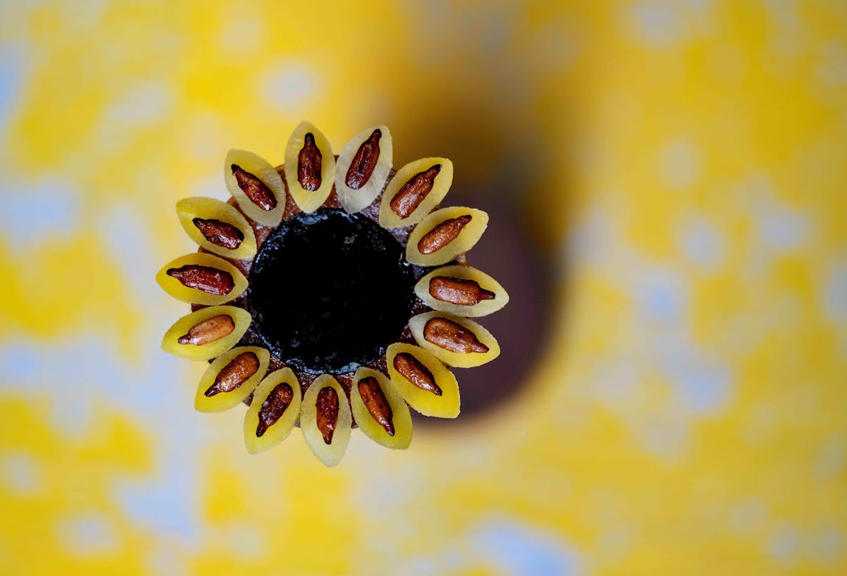 Restaurant De Nieuwe Winkel - Groei - Nijmegen, GE | Tock