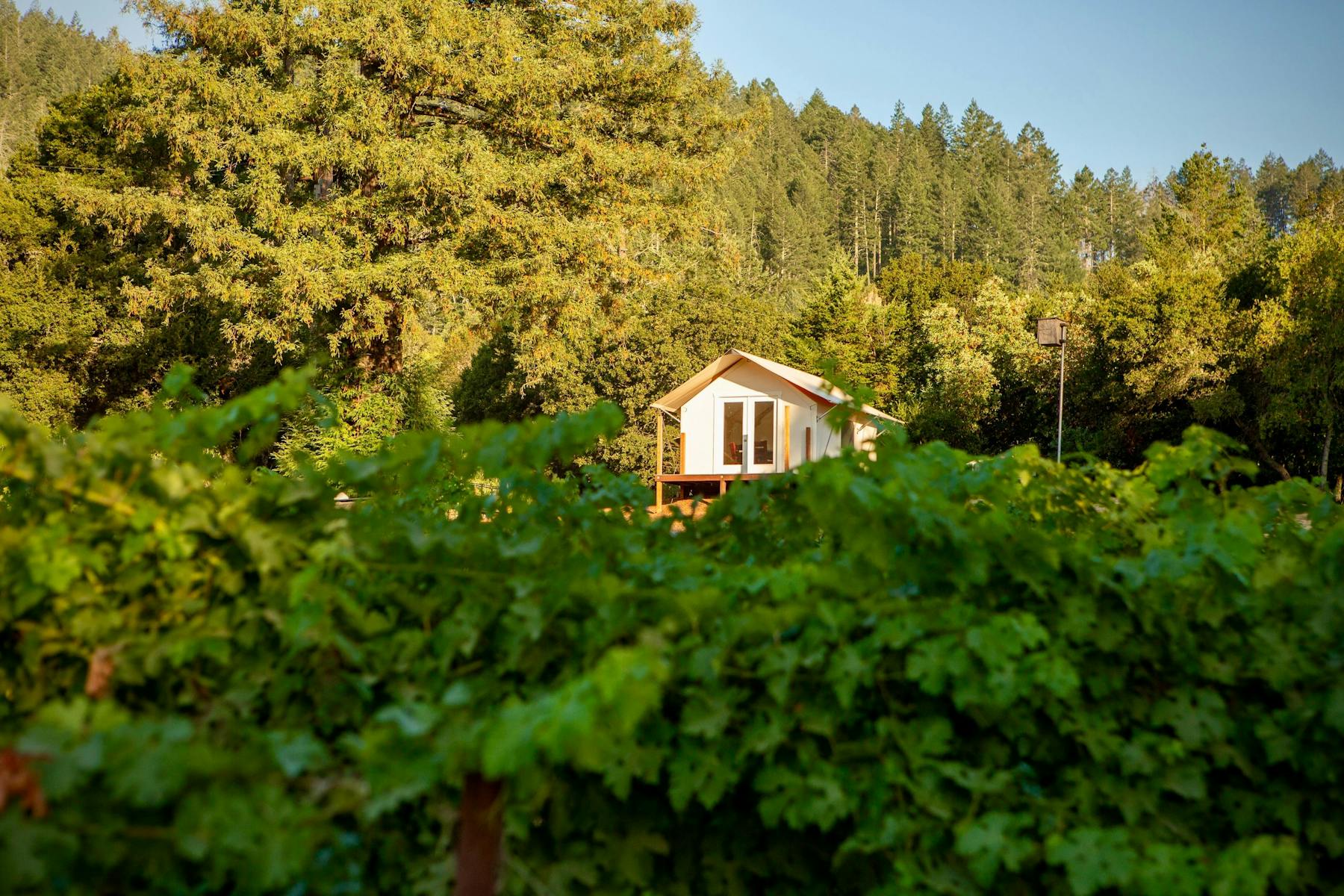 The Spire Collection - US | Tock