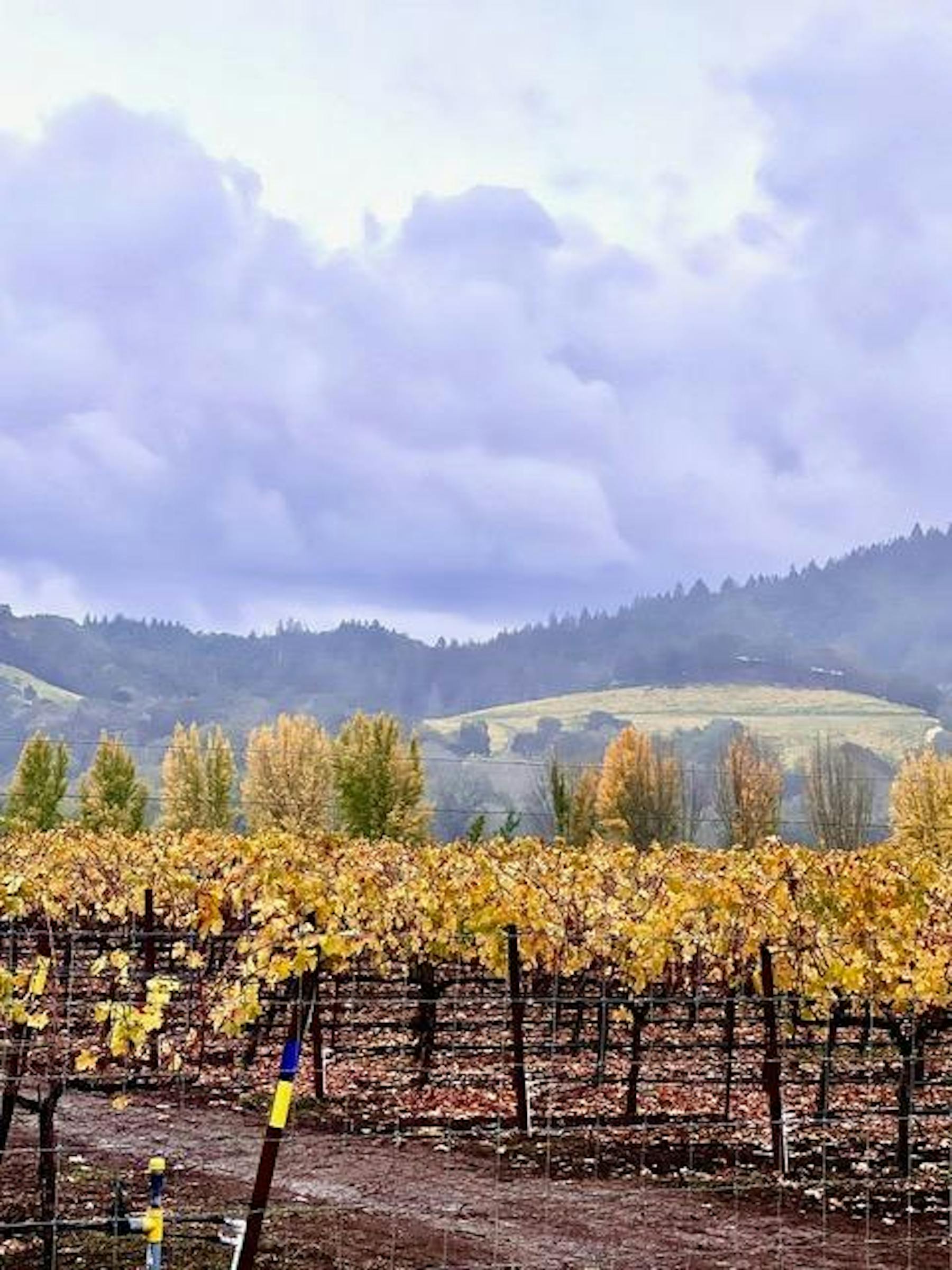 Turks Head Wines - West Chester, PA | Tock