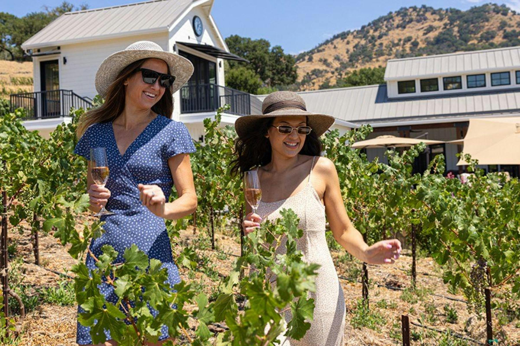 Baldacci Family Vineyards - Napa, CA | Tock