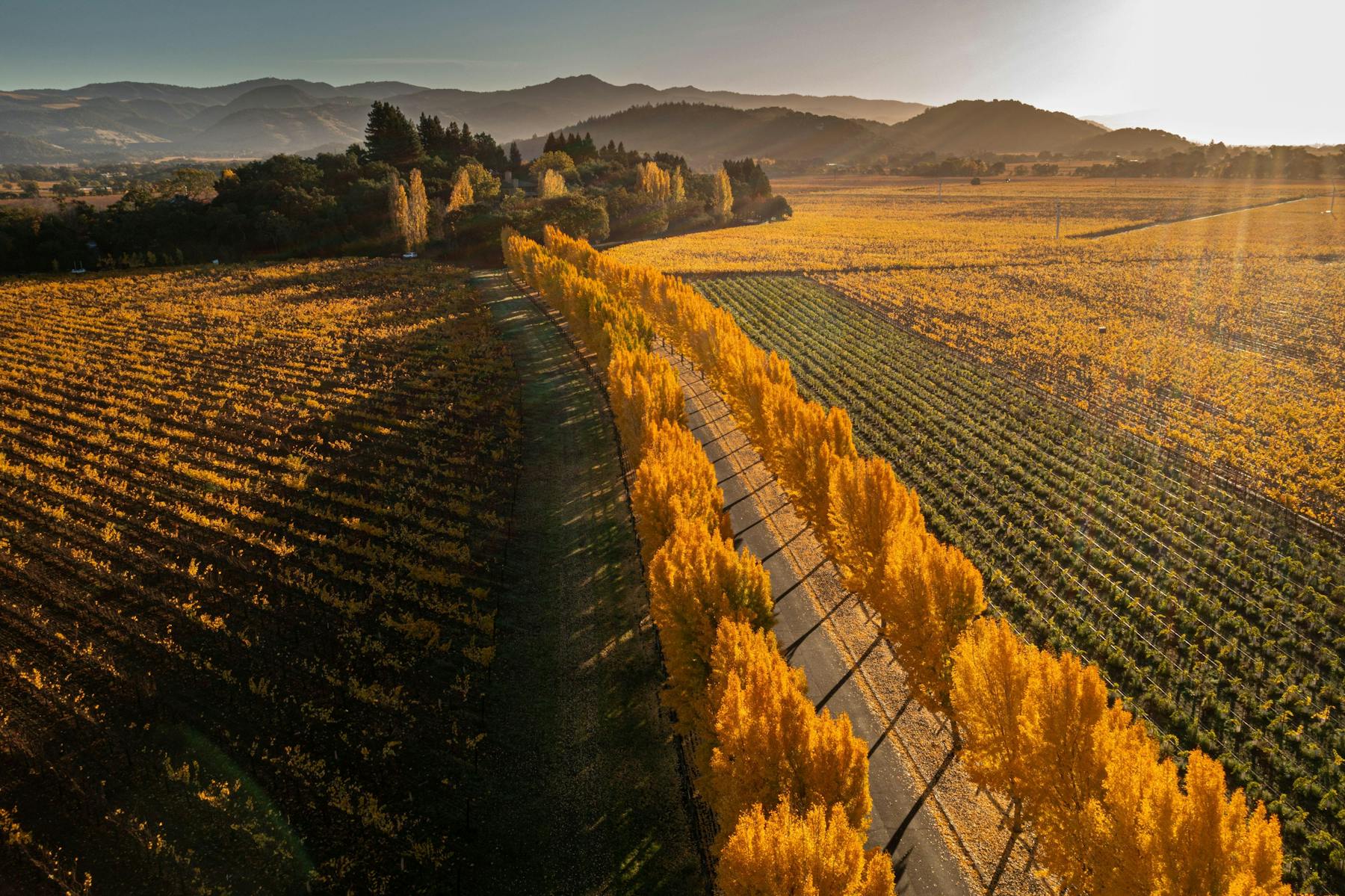 Far Niente Winery - Napa, CA | Tock