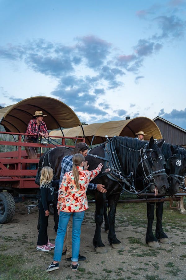 Keystone Stables Wagon Rides - Keystone, CO | Tock