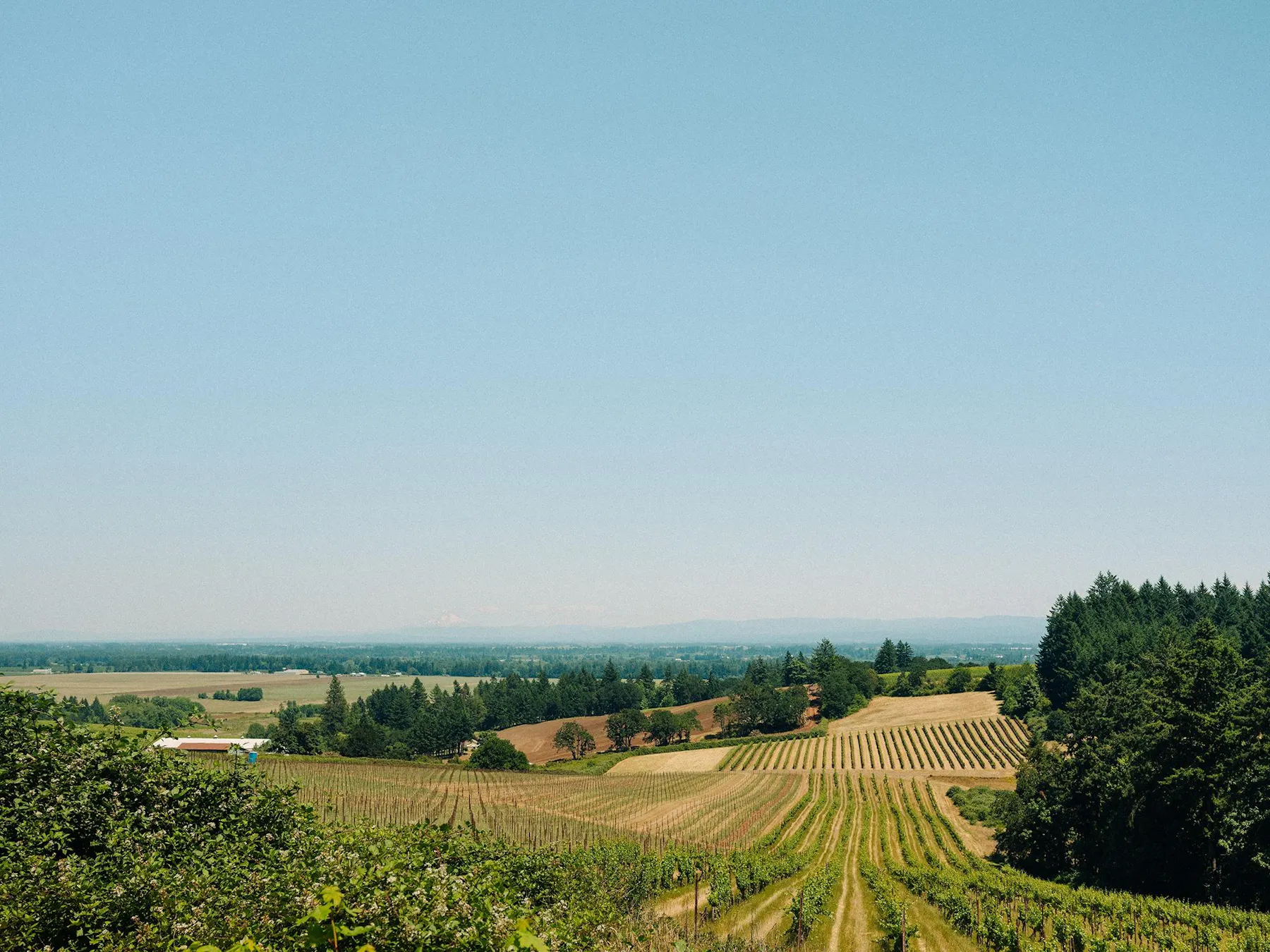 Evening Land Vineyards - Salem, OR | Tock