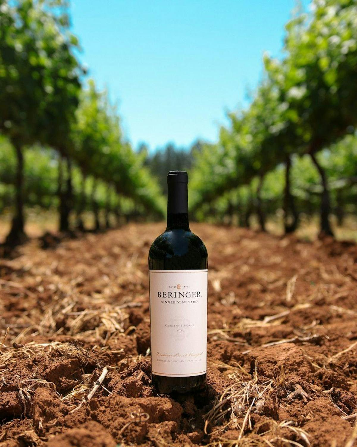 Beringer Vineyards - Old Winery Tour & Tasting - St. Helena, CA | Tock