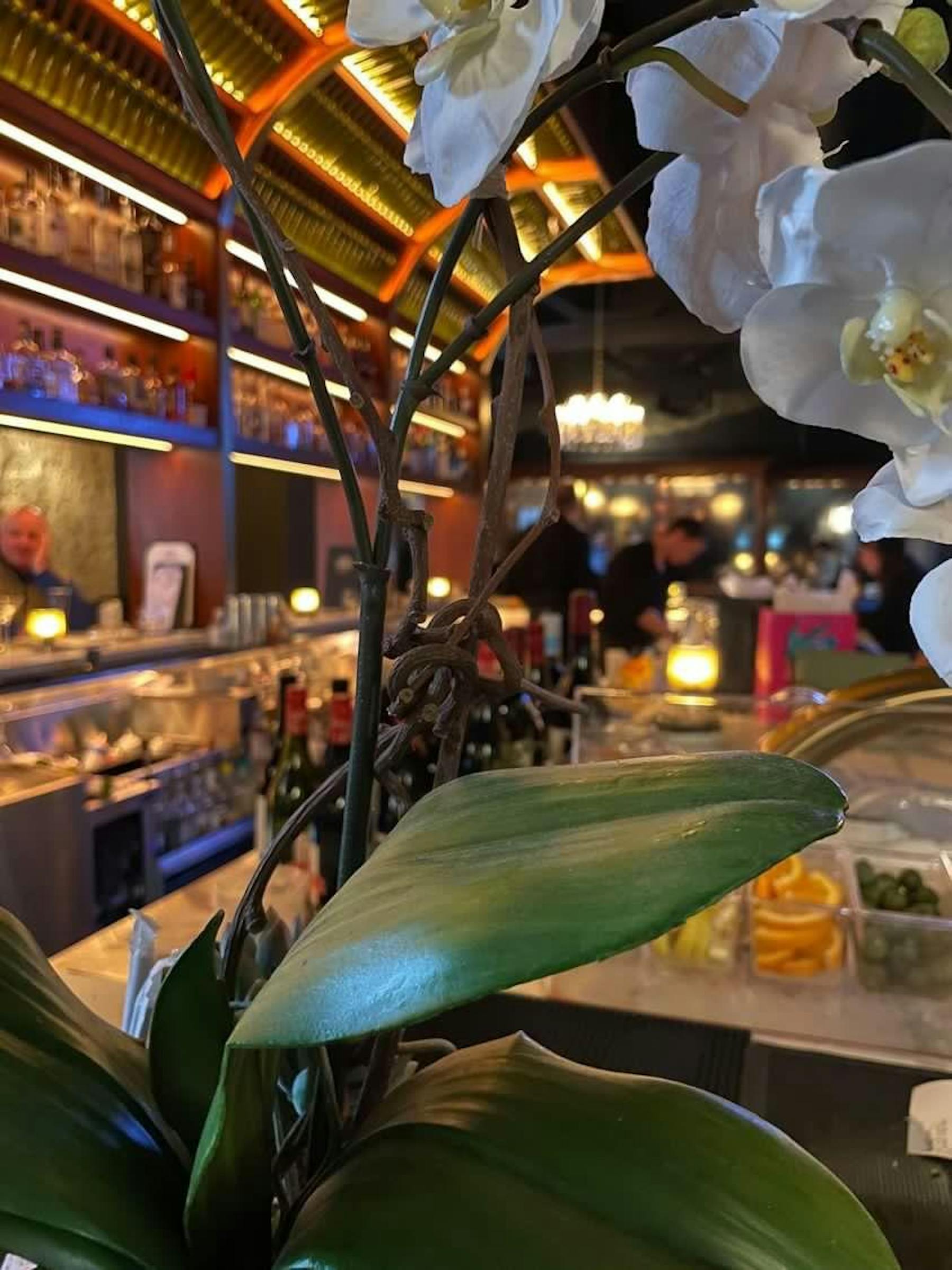 The Pullman Restaurant & Bar - Dining Reservation - Bryn Mawr, PA | Tock