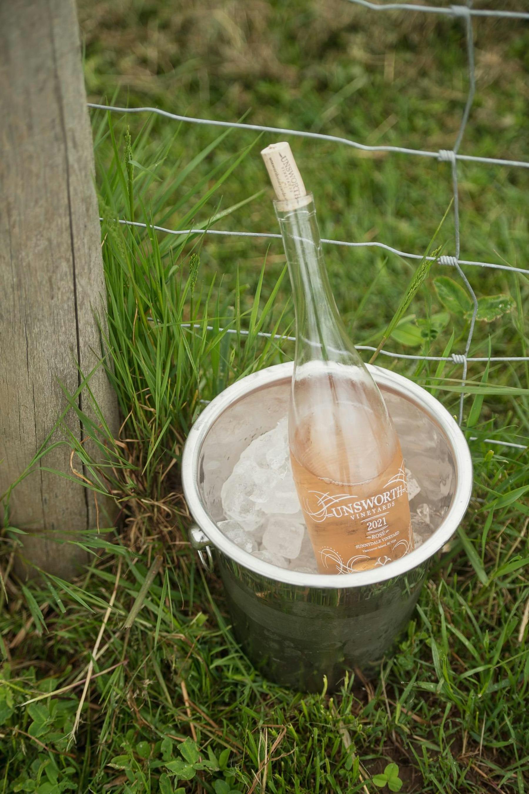 The Tasting Room at Unsworth Vineyards - Tasting Experiences - Mill Bay ...