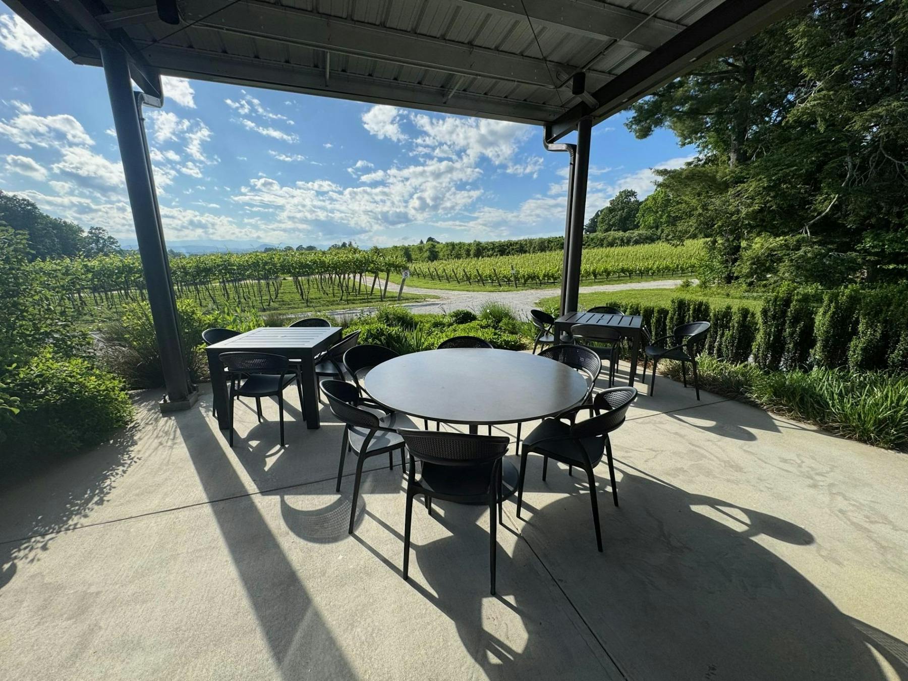 Marked Tree Vineyard - Estate Tour and Tasting - Flat Rock, NC | Tock