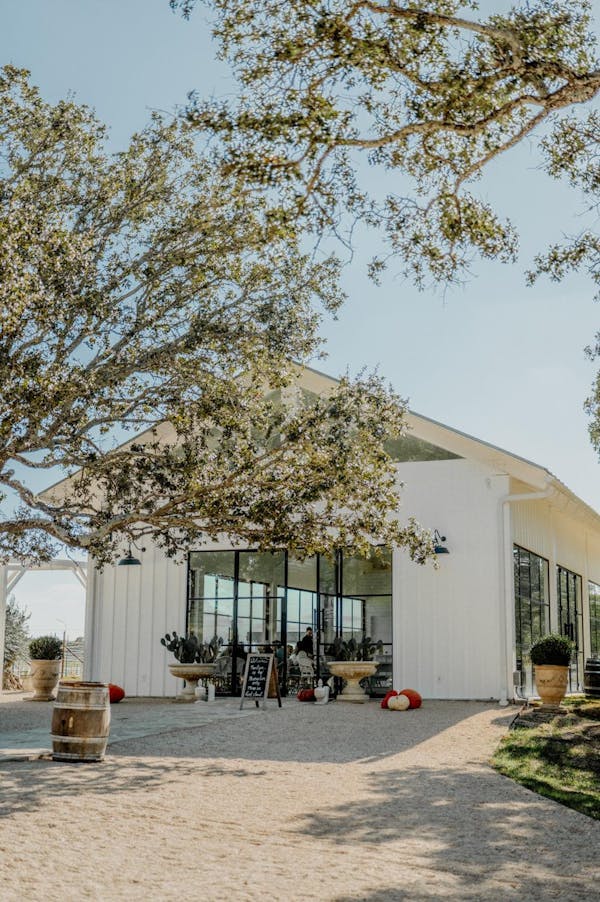 Signor Vineyards - Fredericksburg - Fredericksburg, TX | Tock