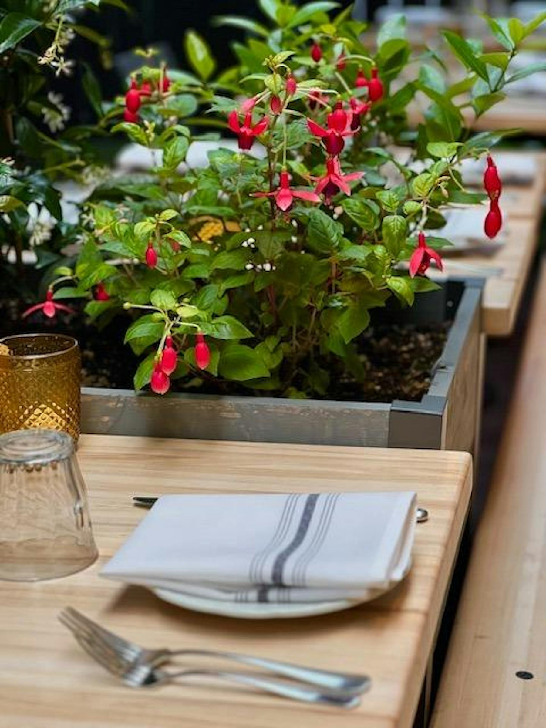 Cocorico - Ashland, OR | Tock