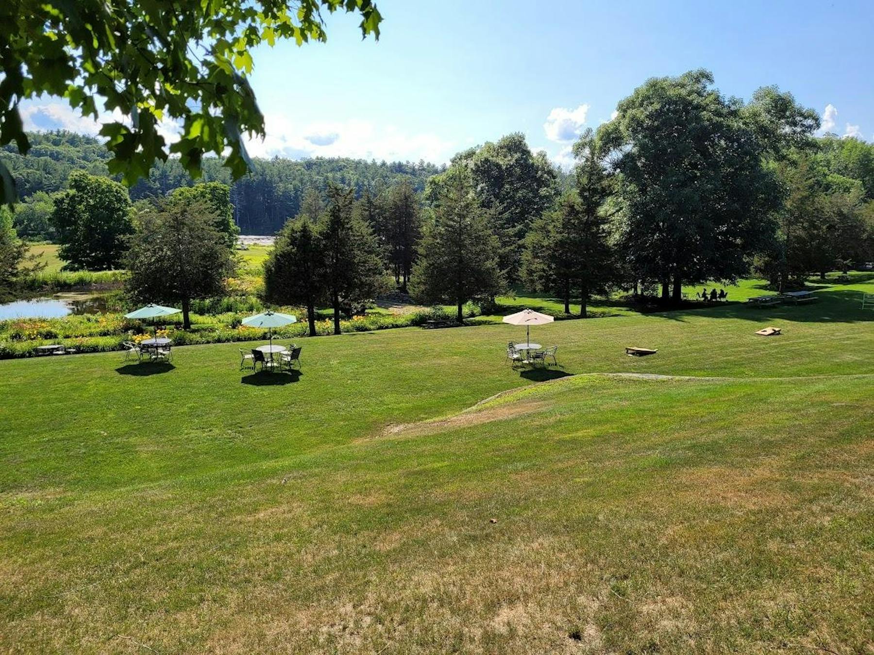 Worthington Vineyards & Winery - Somers, CT | Tock