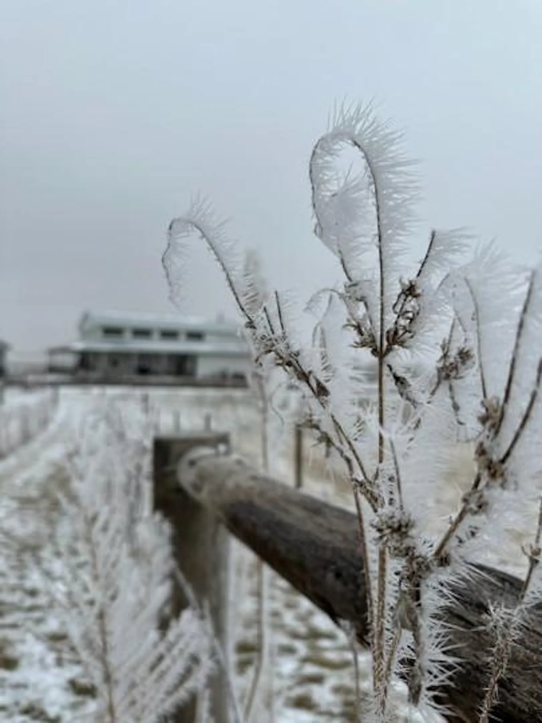 Walker Homestead Farm & Winery - Iowa City, IA | Tock
